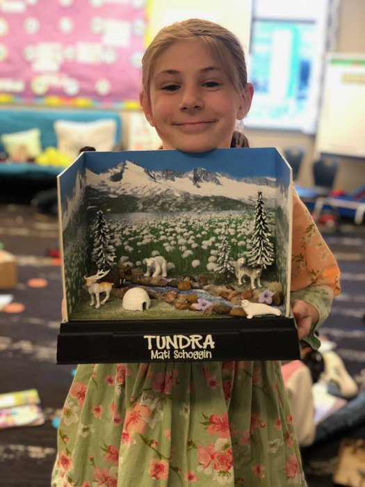 Arctic Biome Project