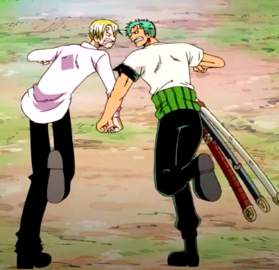 One Piece Zoro And Sanji Fighting