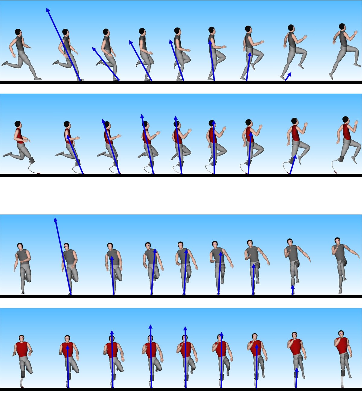 Sagittal Plane Movements