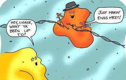 Cartoon Biology Humor