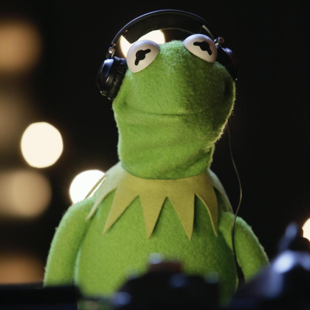 Kermit The Frog Smiling