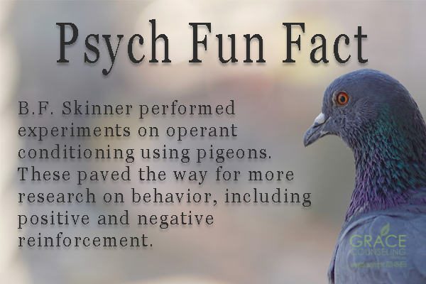B F Skinner Pigeons