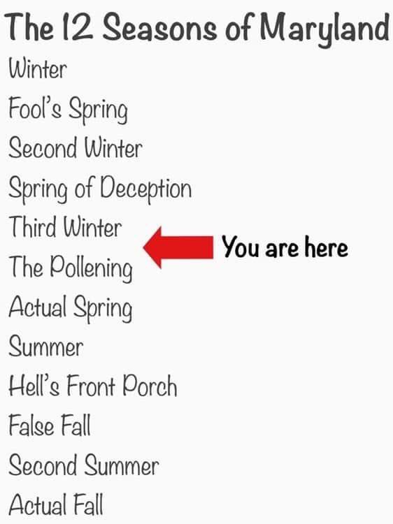 Full Second Winter Meme