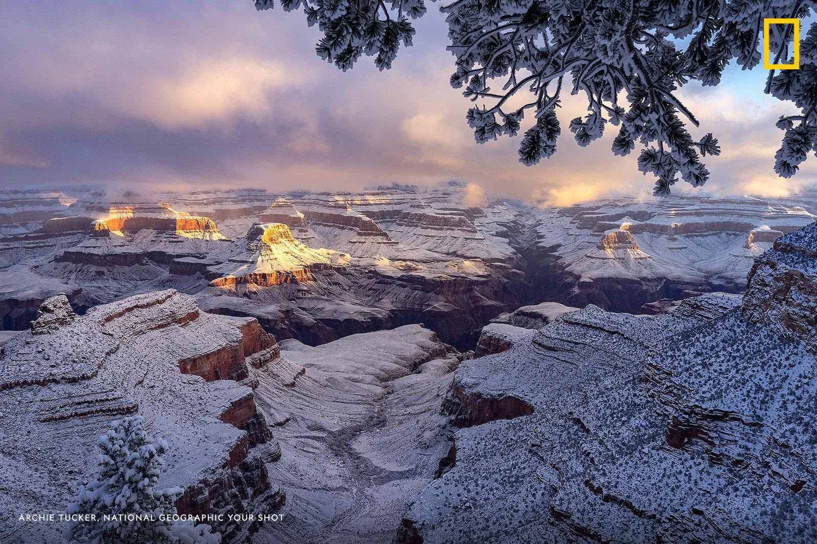 100th Anniversary National Geographic Photography