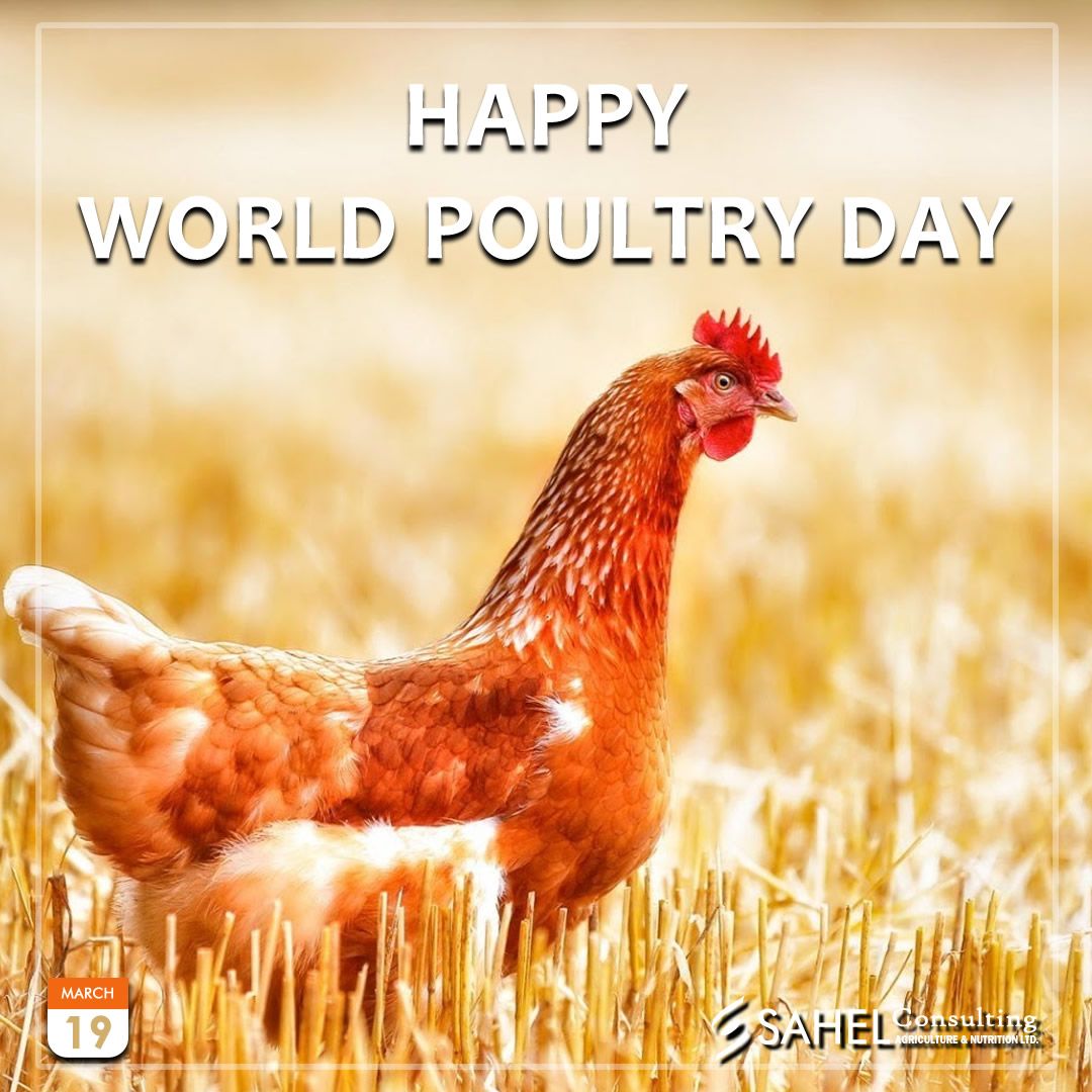 March 19 Poultry Day