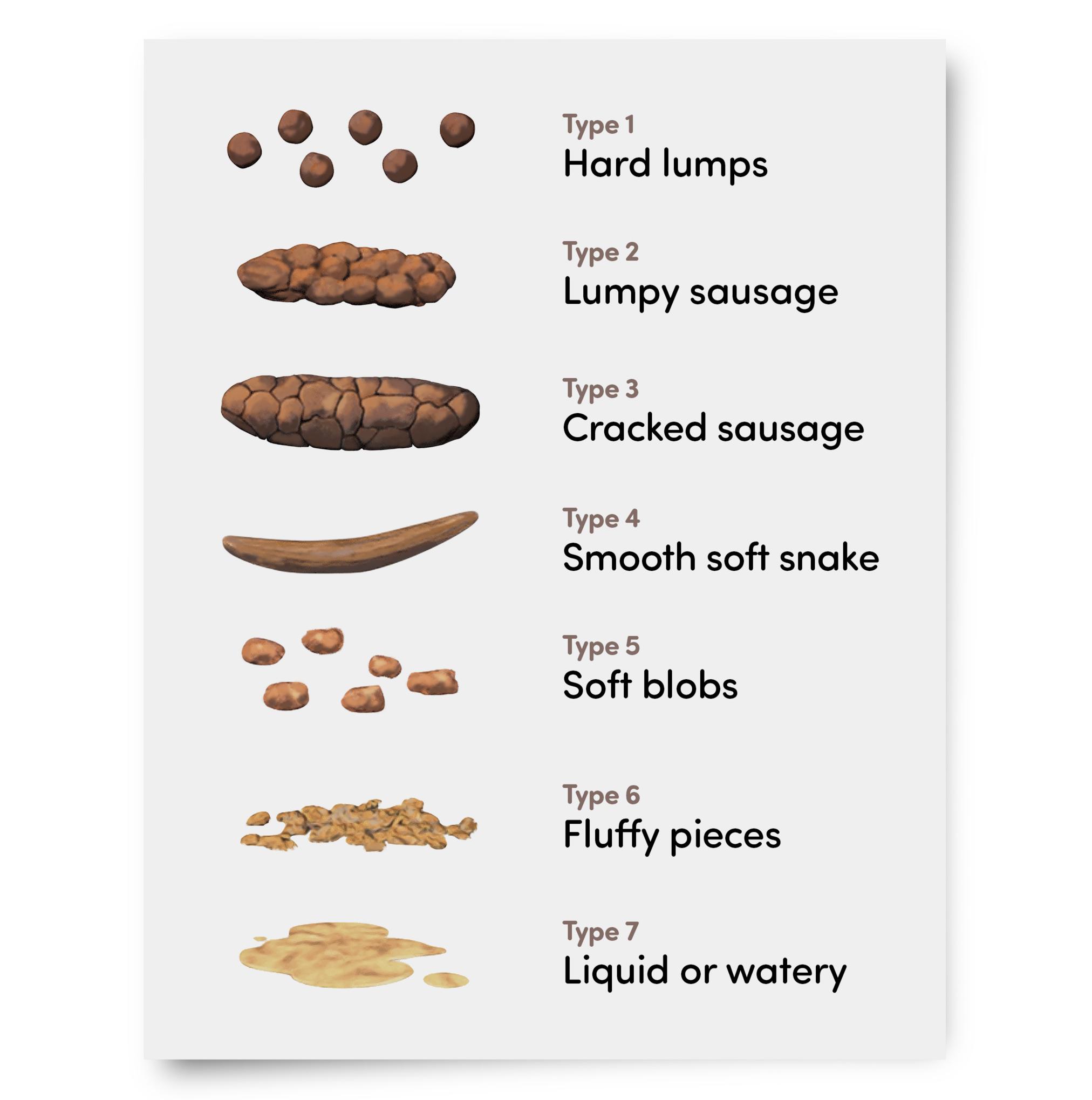 Ribbon Like Poop Doctors Warn Narrow Stool Could Be A Sign Of COLON