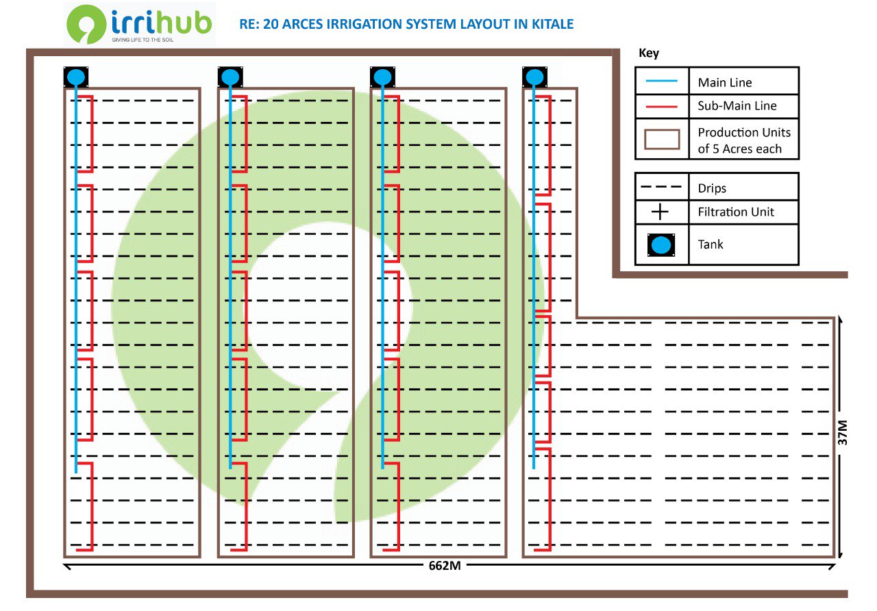 Drip Irrigation Layout Plan Lush & Efficient Revised Edition