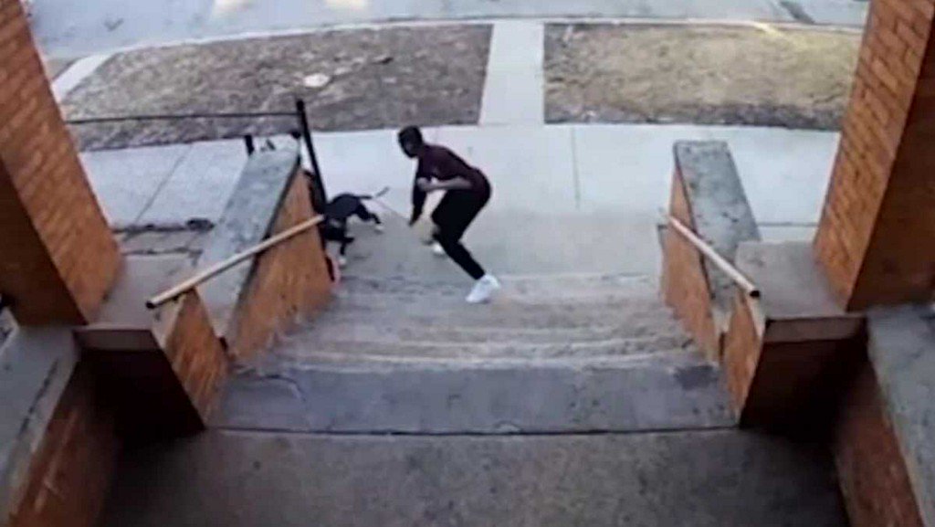 'The dog tried to bite me': Boy with broom pushes dog away from kids ...