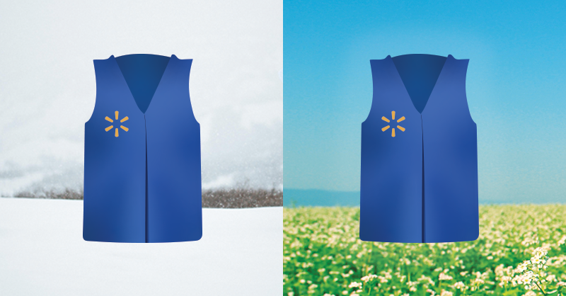 Walmart Vest