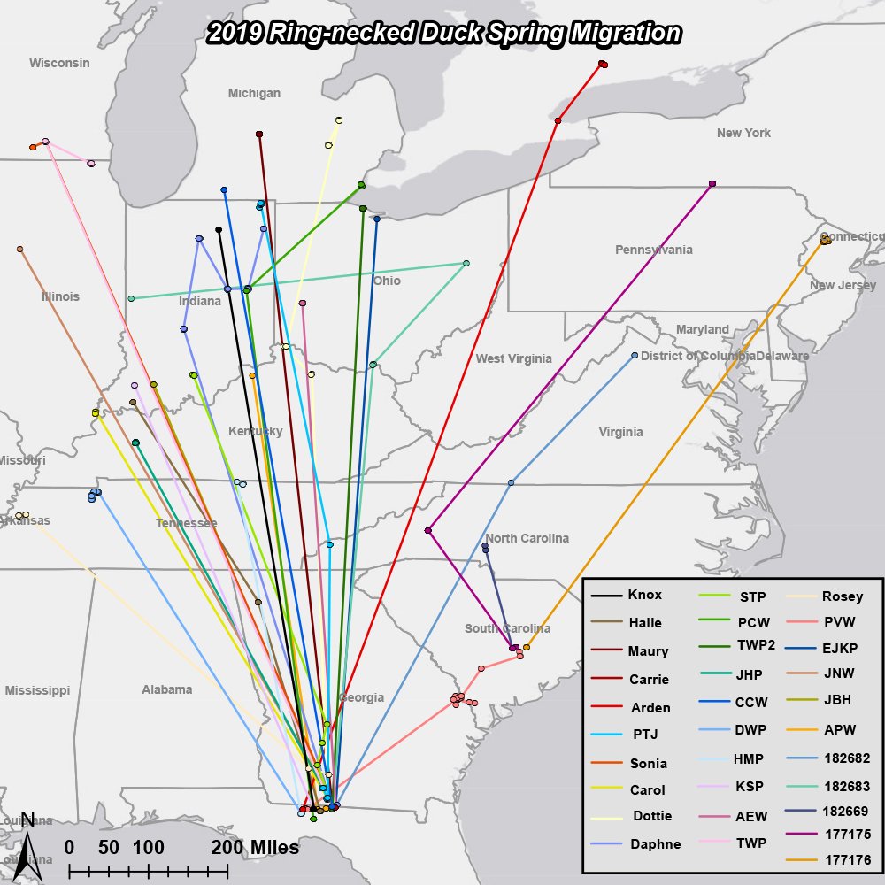 Delta Waterfowl Duck Migration Report
