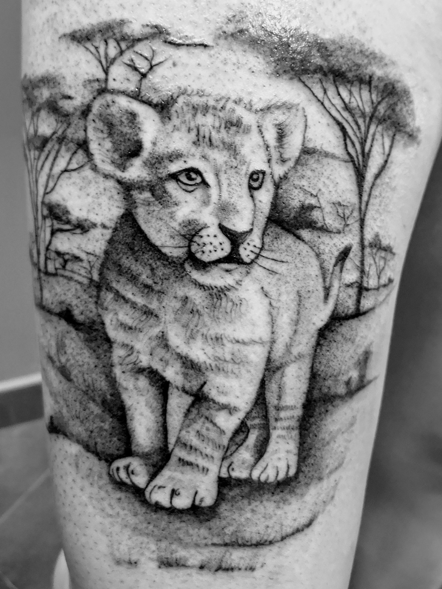 Realistic Baby Lion Drawing