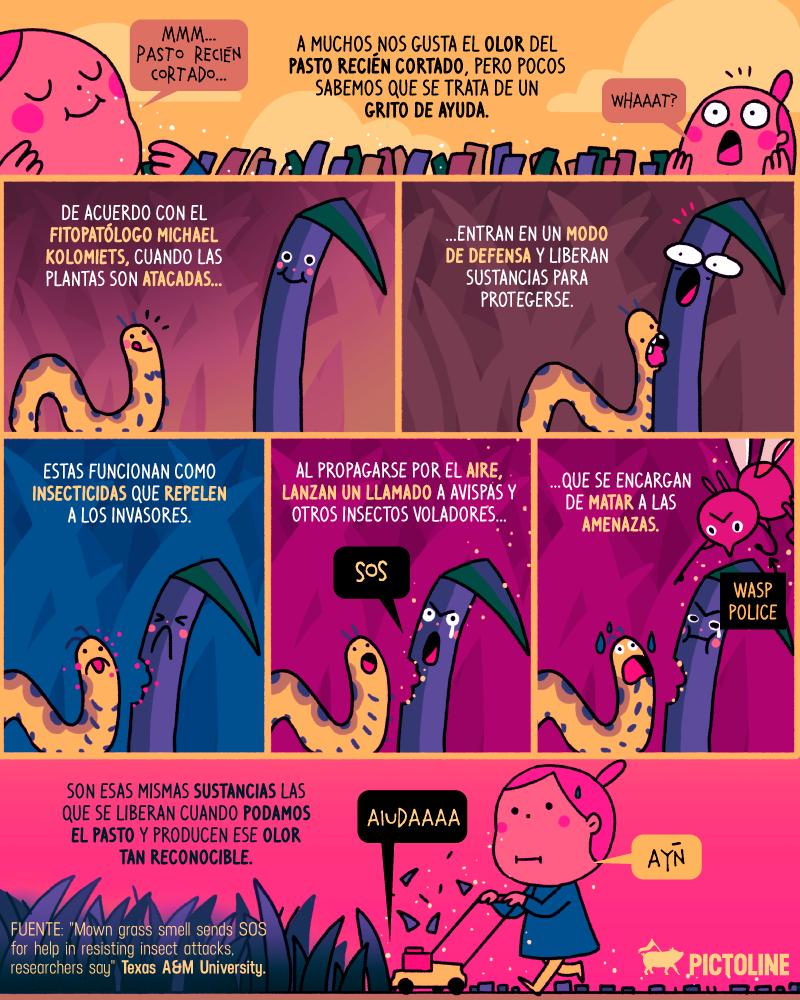274 best Twitter u/pictoline images on Pholder | No estas sola.\nNo ...