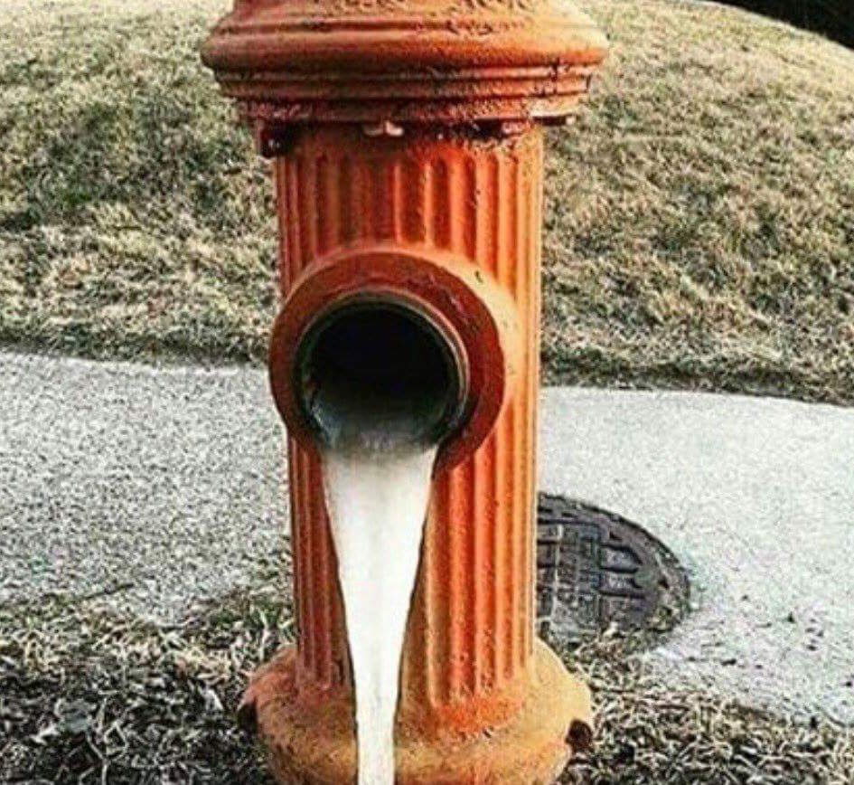 Chapi🐷 on Twitter: