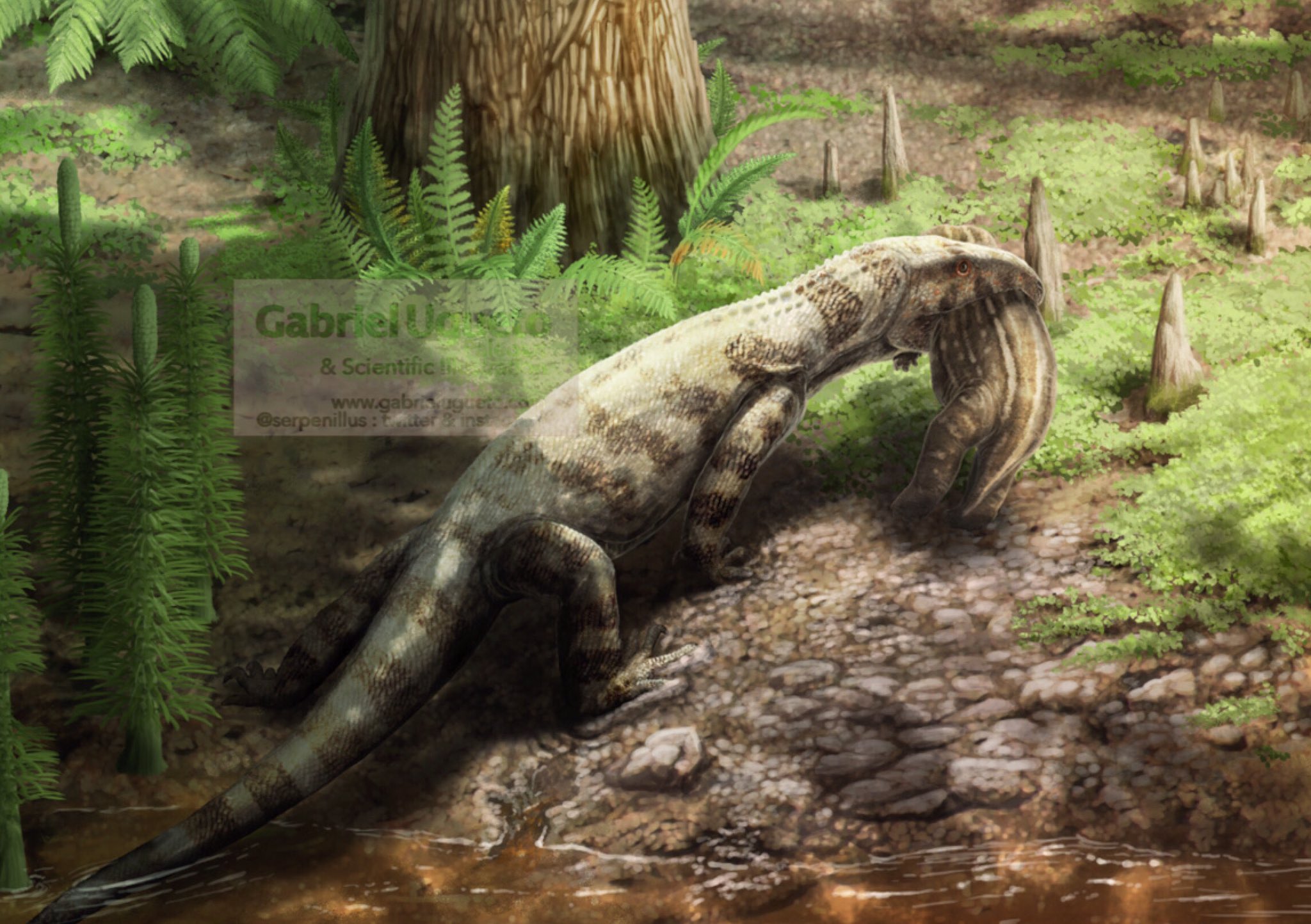 Proterosuchus