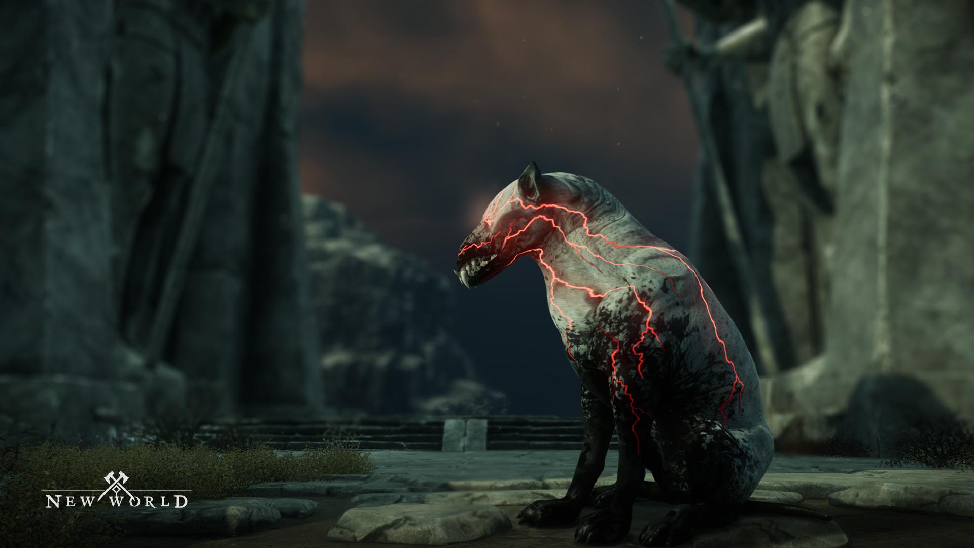 Did The New World Have Dogs