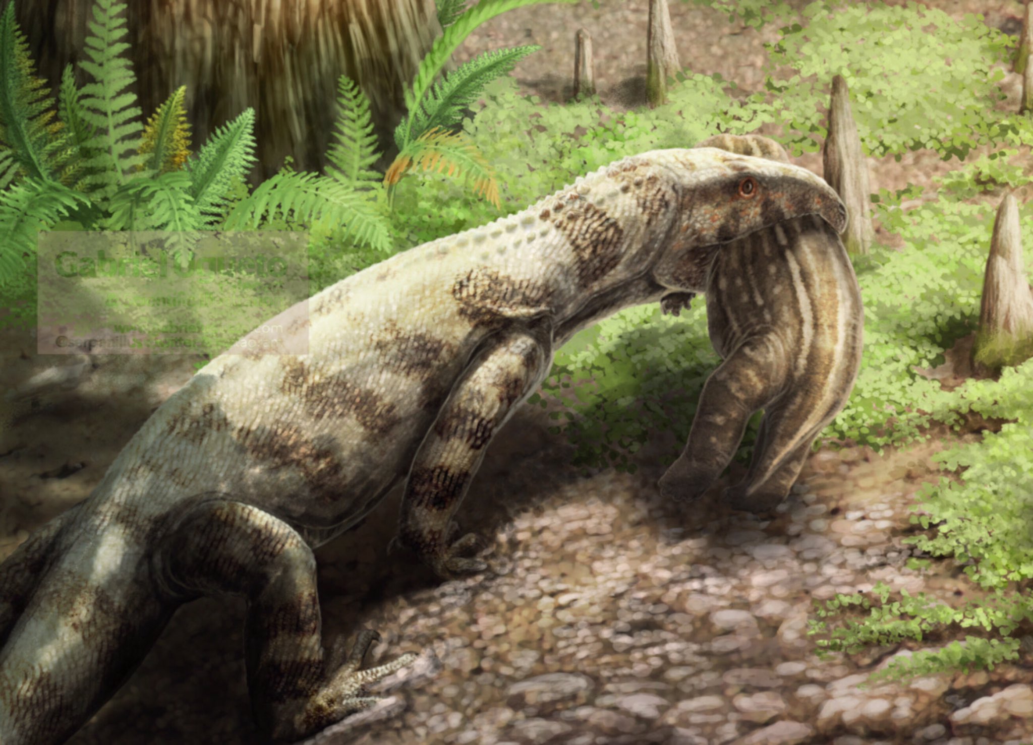 Proterosuchus