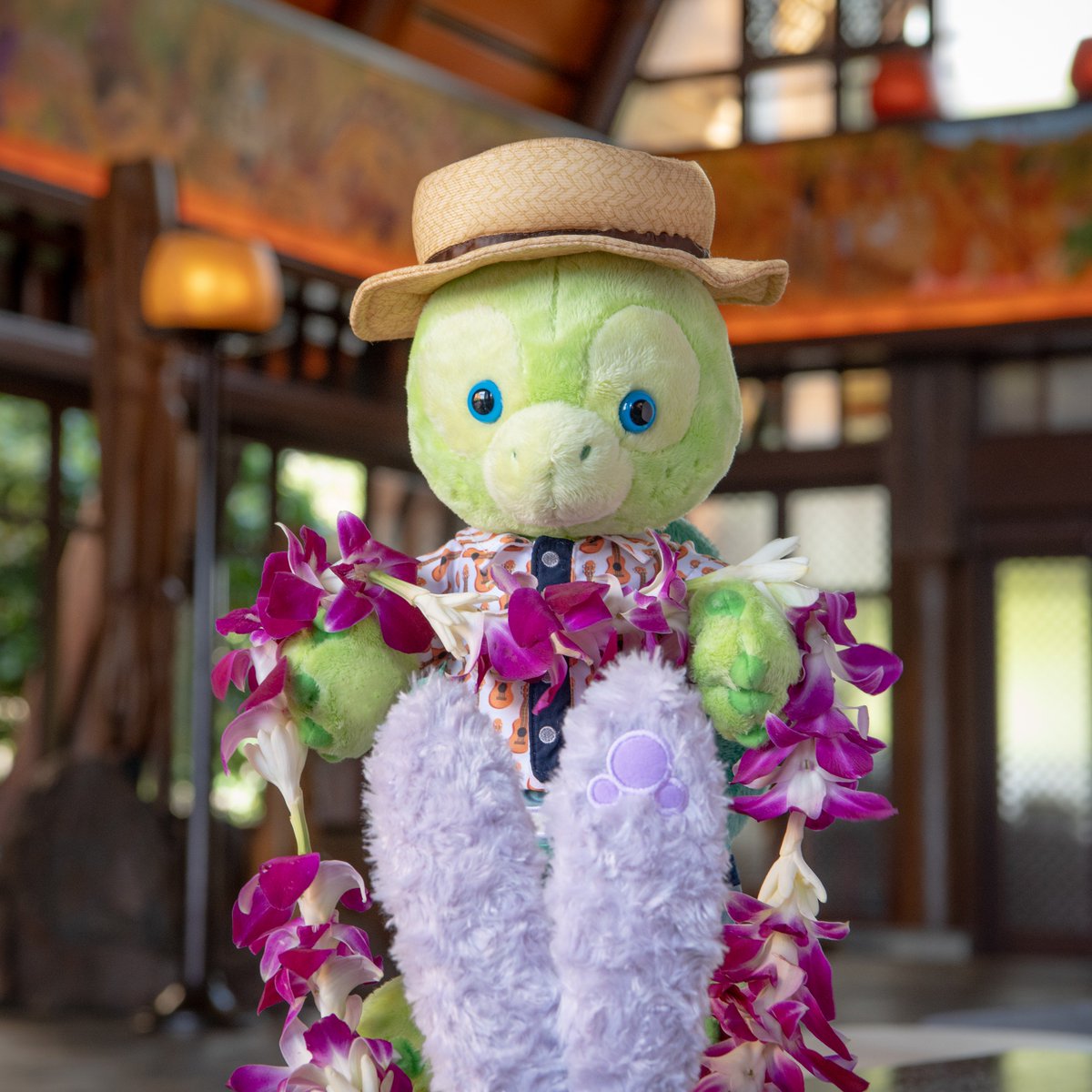 25 best Twitter @disneyaulani images on Pholder | Discover the magic of ...