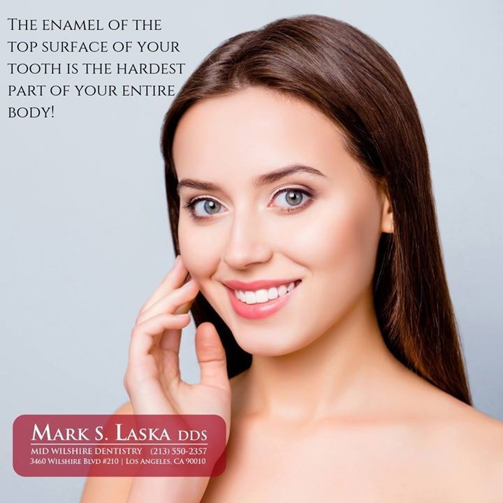 Mark Laska's Instagram, Twitter & Facebook on IDCrawl