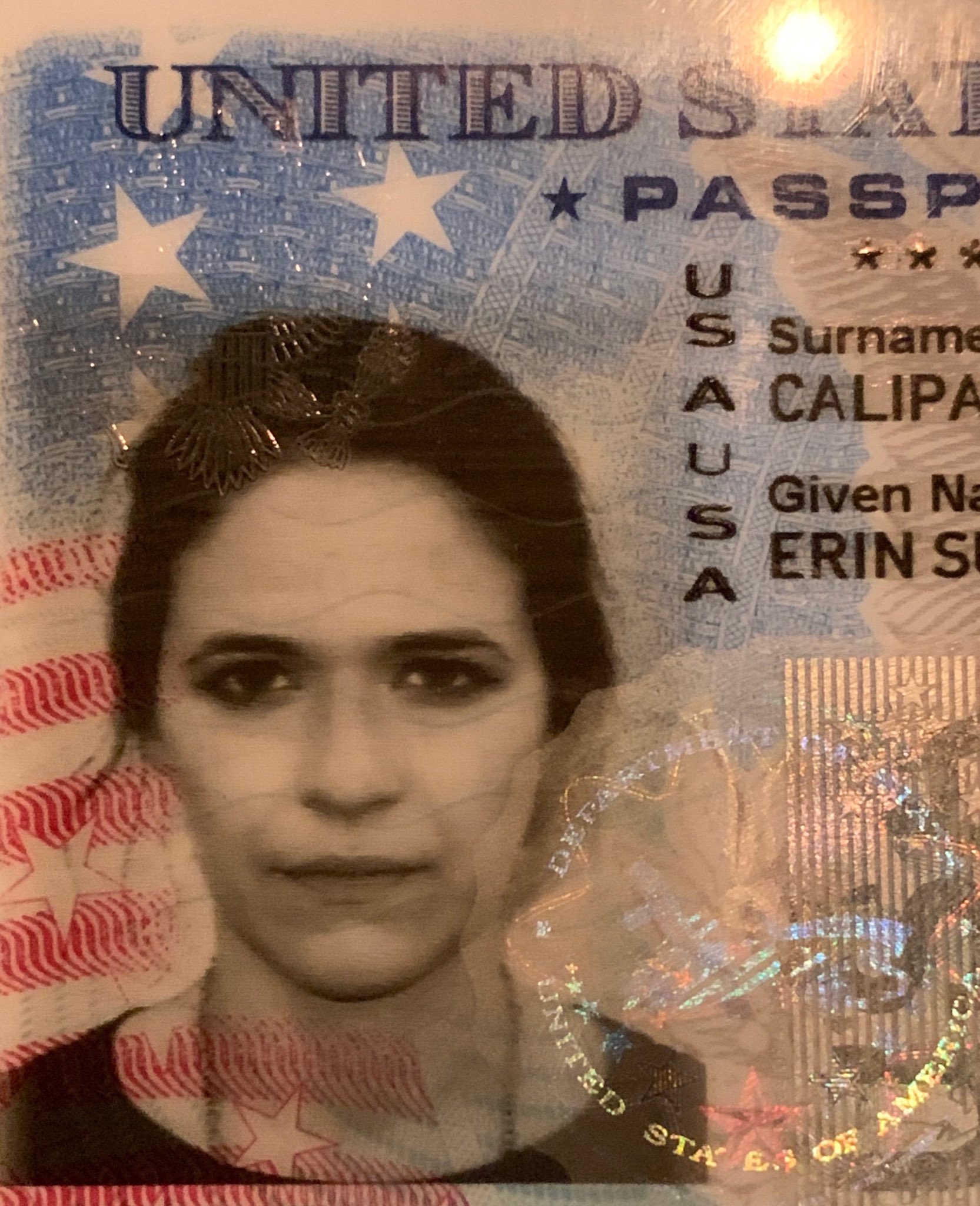 Ellis Island Passports