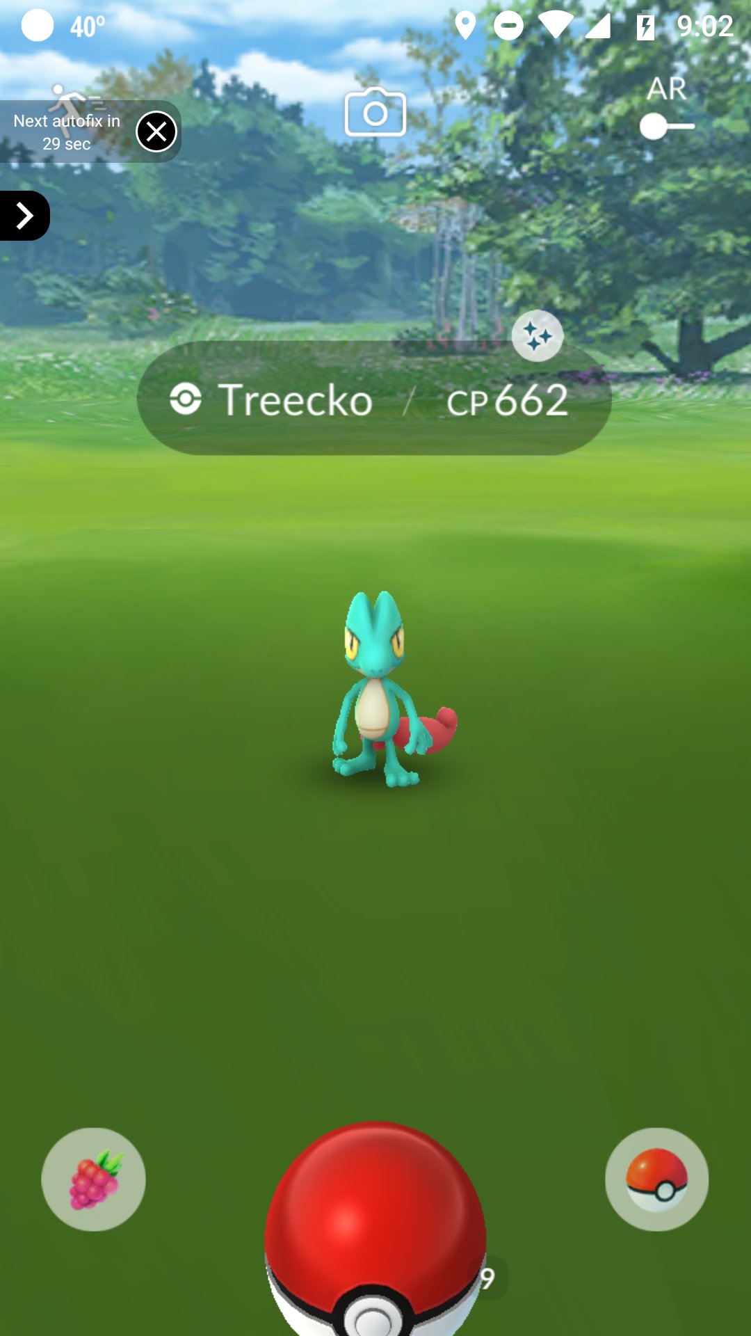 Shiny Treecko Pokemon