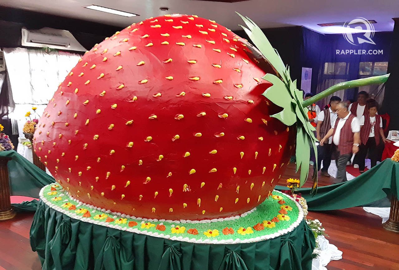 Worlds Largest Strawberry Shortcake