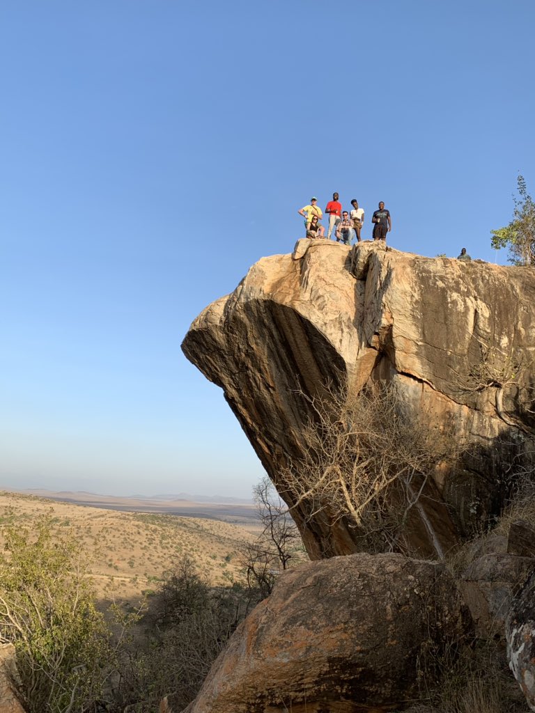 278 best Pride Rock images on Pholder | Aquariums, Aww and 30 ROCK