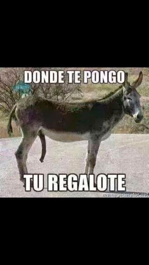 Memes Burro Primavera Humor De Primavera 🤣 . . . . #memesderock