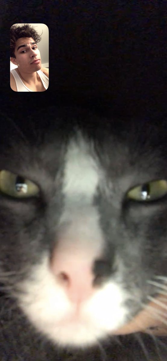 1396 best Facetiming images on Pholder | Long Distance, Aww and Ios