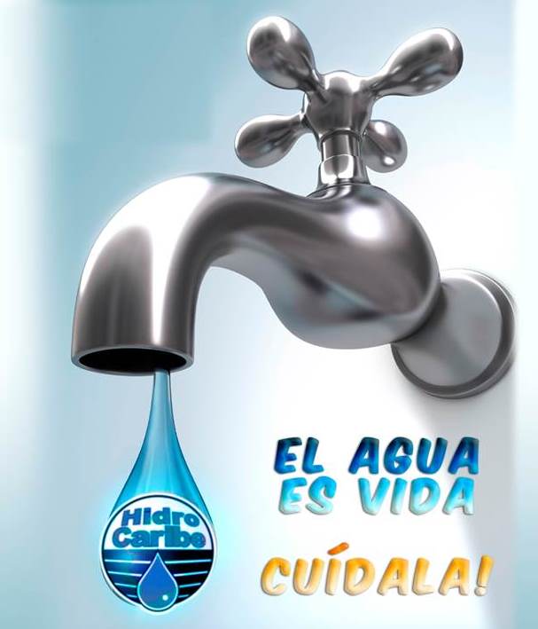 Hierbas Tercero tema el agua es vida cuidala desarrollo de capturar ...