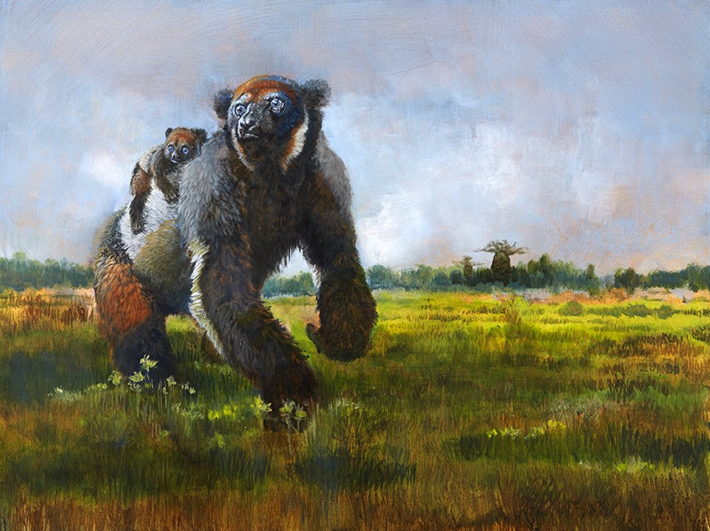 Jab's Animal Builds!: Oxodonts! Machaeroidinae! Nimravids! - Page 58 ...