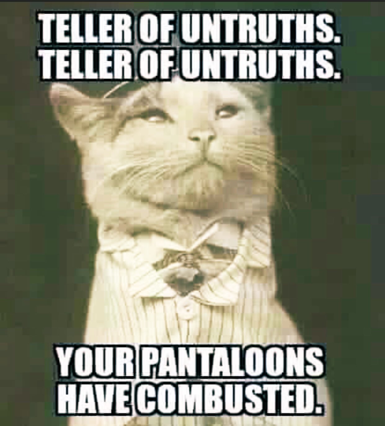 Fancy Cat Meme Jeeves