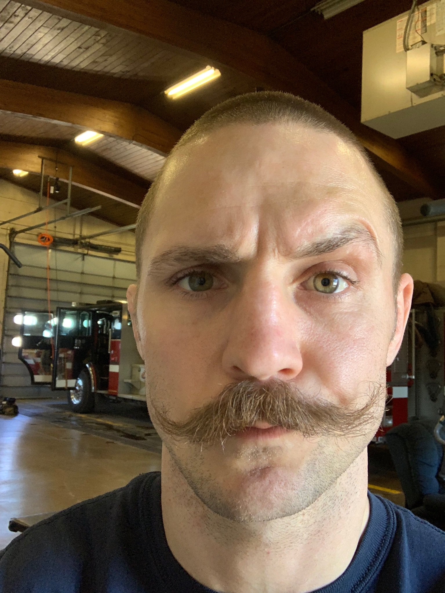 Push Broom Mustache Push Broom Mustache | TikTok