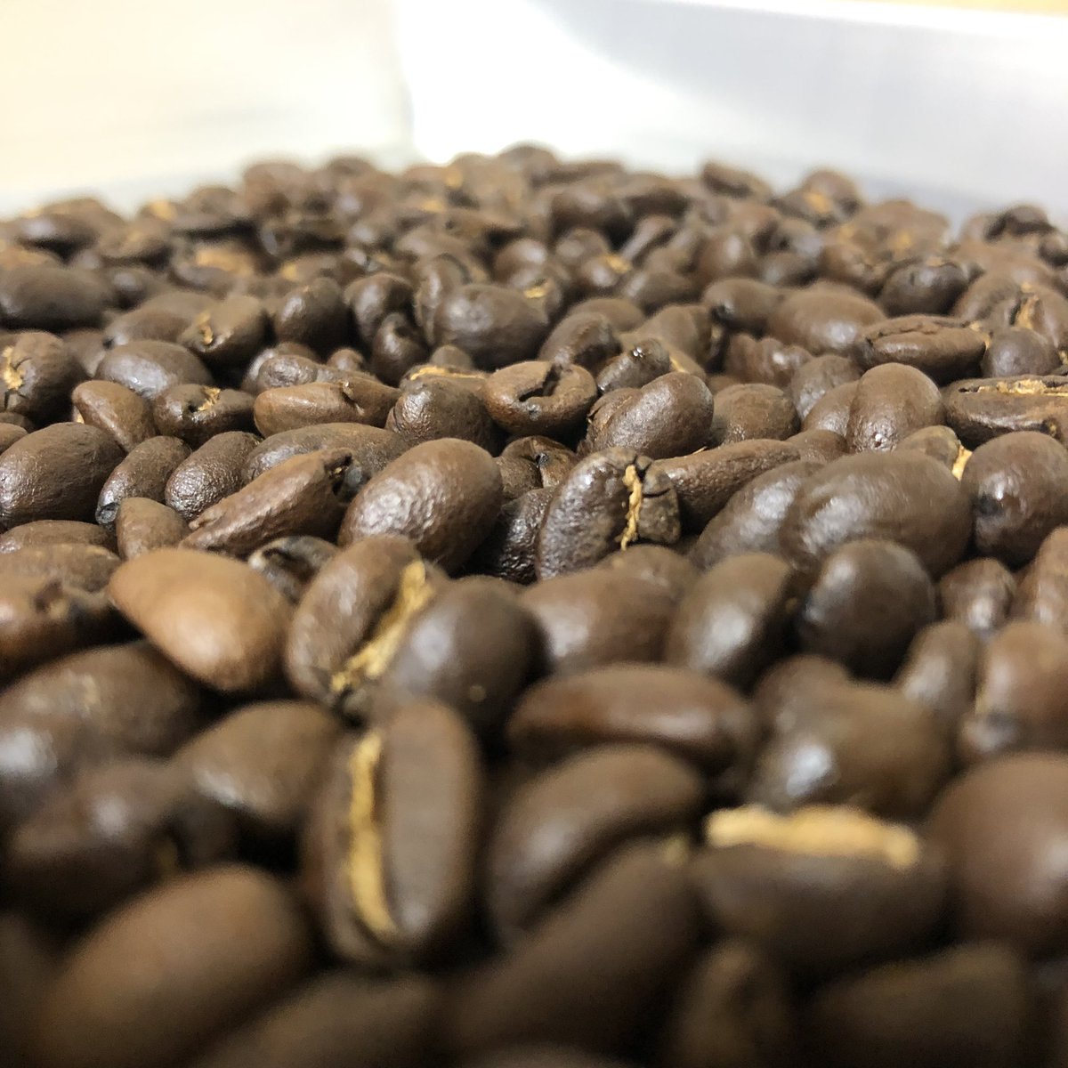 DripLifeスペシャルティコーヒー豆専門店/日本初上陸ミャンマー産生豆のサンプル配布中(@drip_life) - Twilog (ツイログ)