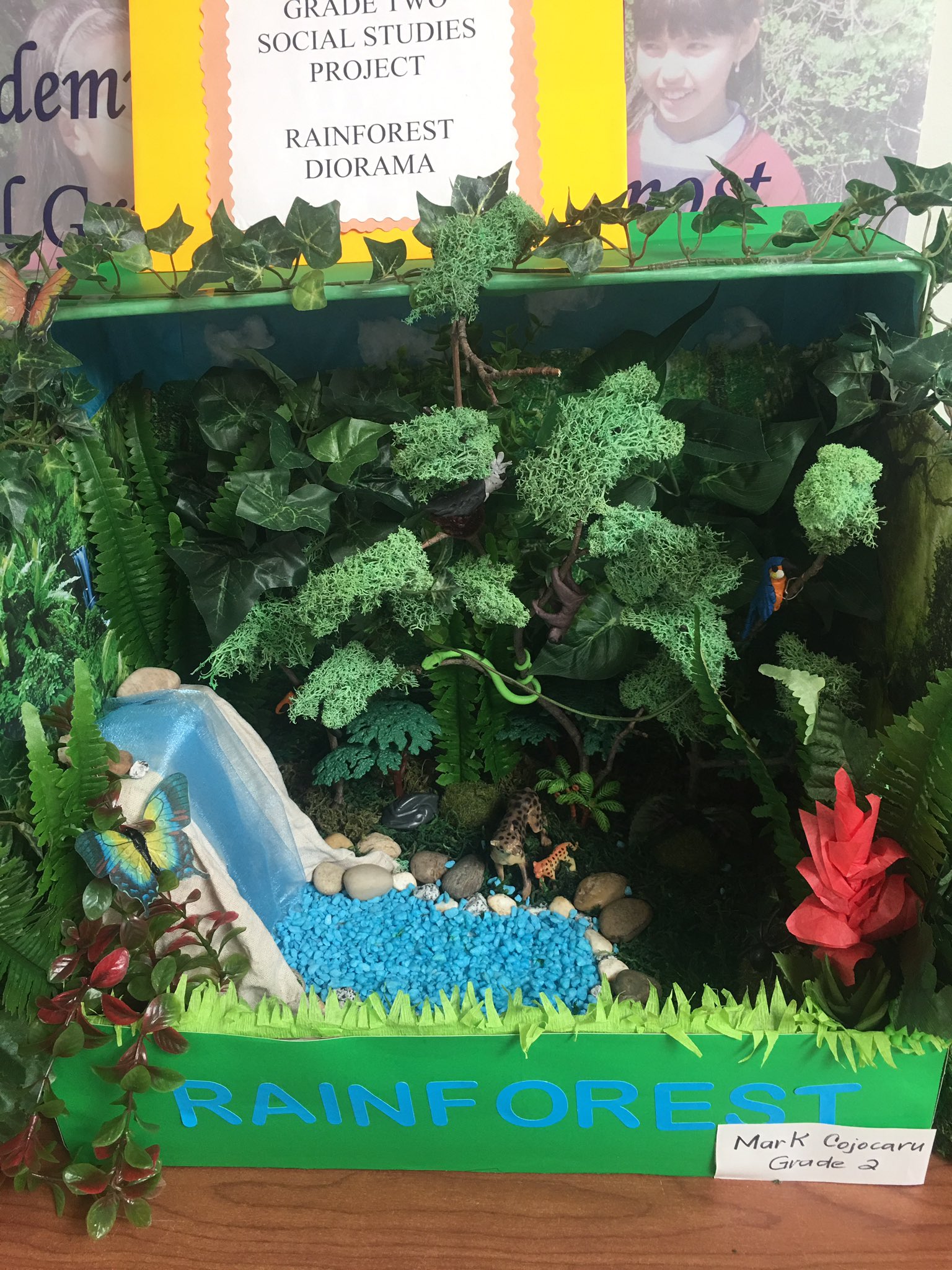 Tropical Rainforest Diorama Shoebox