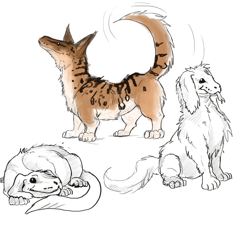 Cat Dog Hybrid Drawing