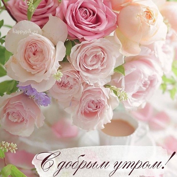 🇰🇿 Tatiyana Kovpak (@TKovpak) | Twitter