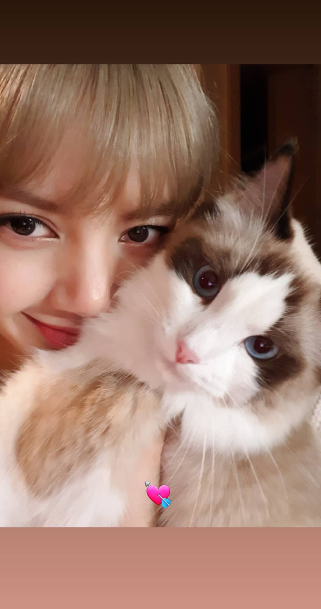 LISANATIONS on Twitter: "🔗https://t.co/IhMdMGpmJ1 #AceLalisaDay # ...