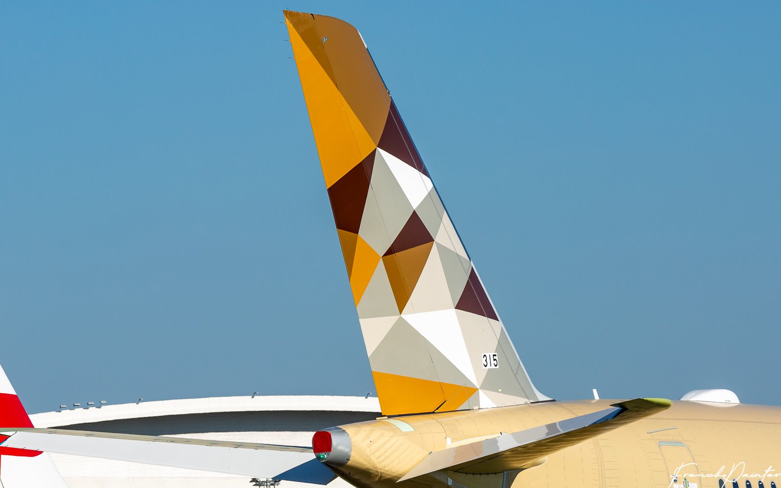Etihad Tail Logo