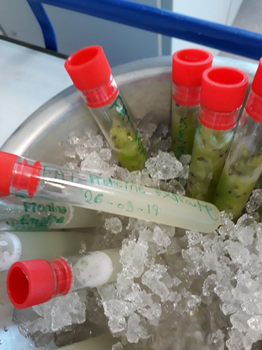 Tampon Ripa Protocole: Ripa Protocol Pdf – BJAJ