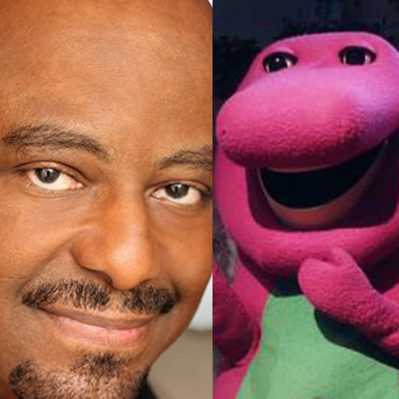 True Story Meme Barney