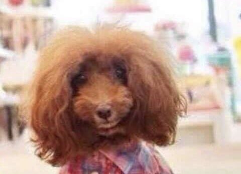 Gail Platt Memes Gail Platt