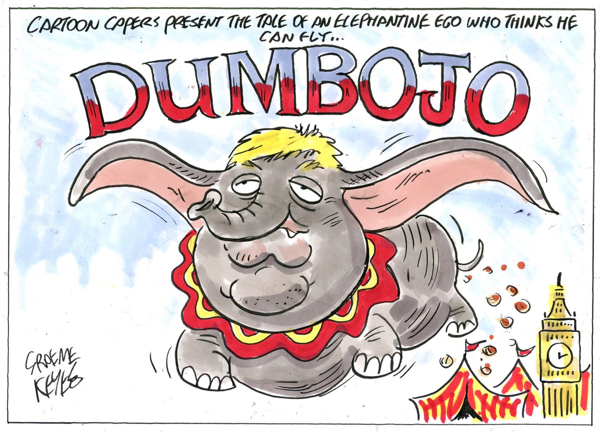 Bojo Toons | The Inquiring Mind