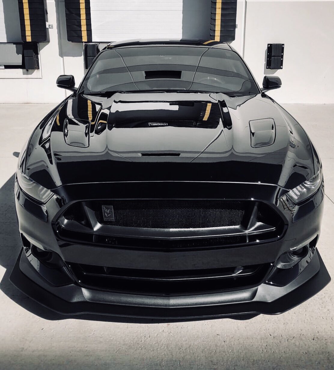 Blacked Out 05 Mustang