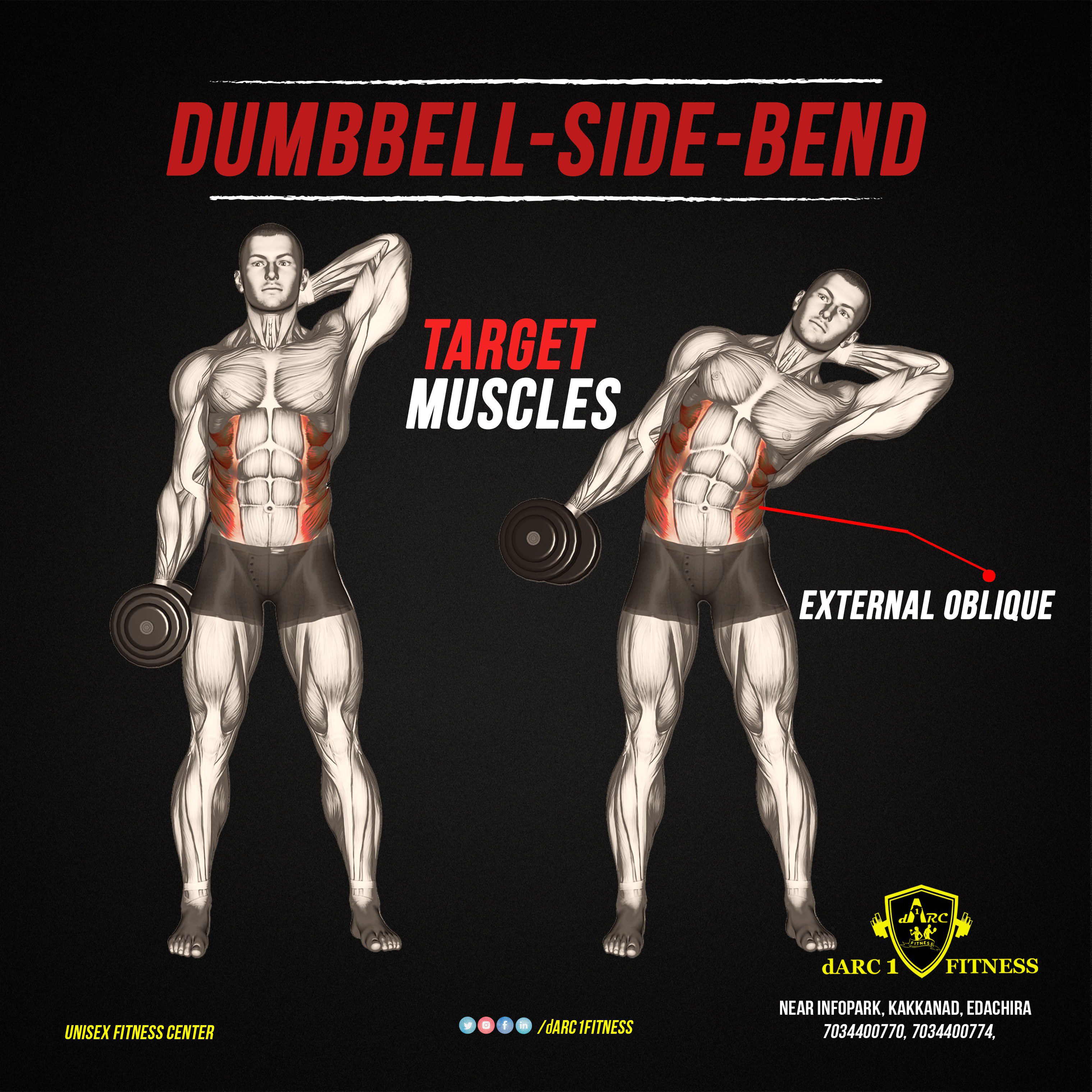 Dumbbell Side Bends Muscles Worked