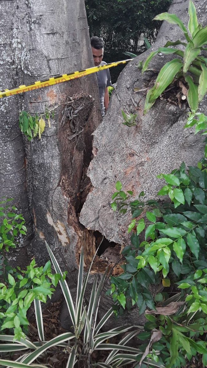 salomia : Últimas noticias y actualidad en vivo | Scoopnest