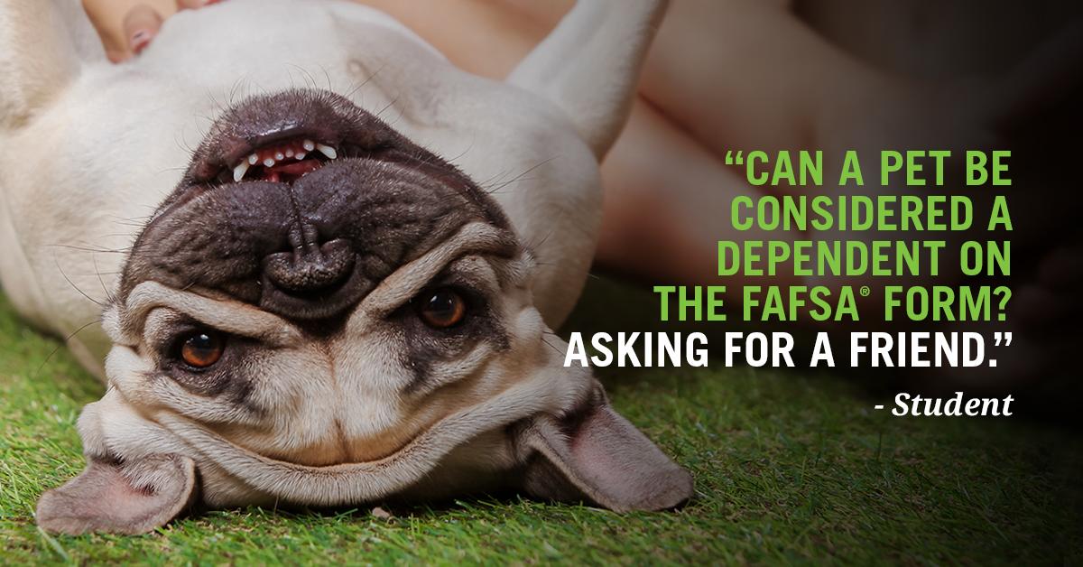 Can You Claim A Dog As A Dependent