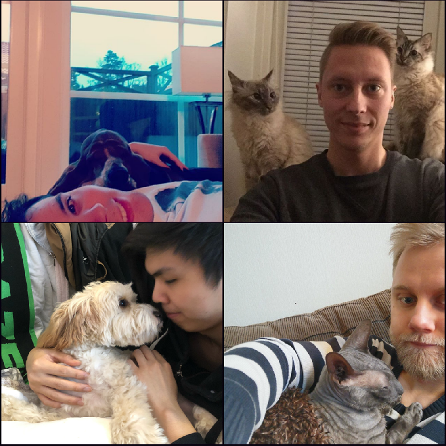 JamesdenCorrea) | Twitter