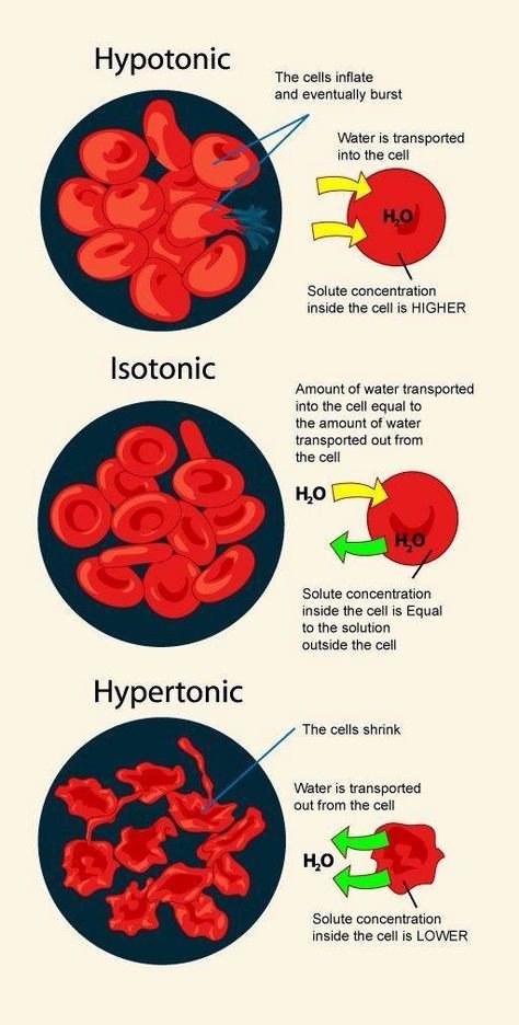 تعرفوا ايش الفرق بين Hypotonic, Isotonic, Hypertonic Cells - Thread from My Way Nursing @MyWay ...