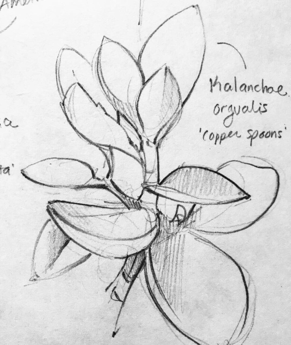 「Voltron meets Overwatch! Shiro and Allura are my constant mo」Elentori ...