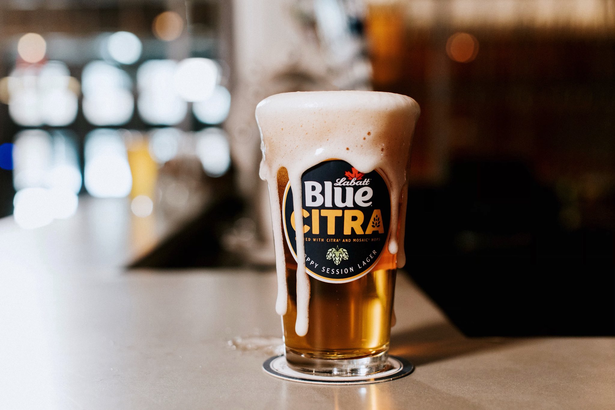 Labatt Blue Abv Purchase Sale | www.oceanproperty.co.th